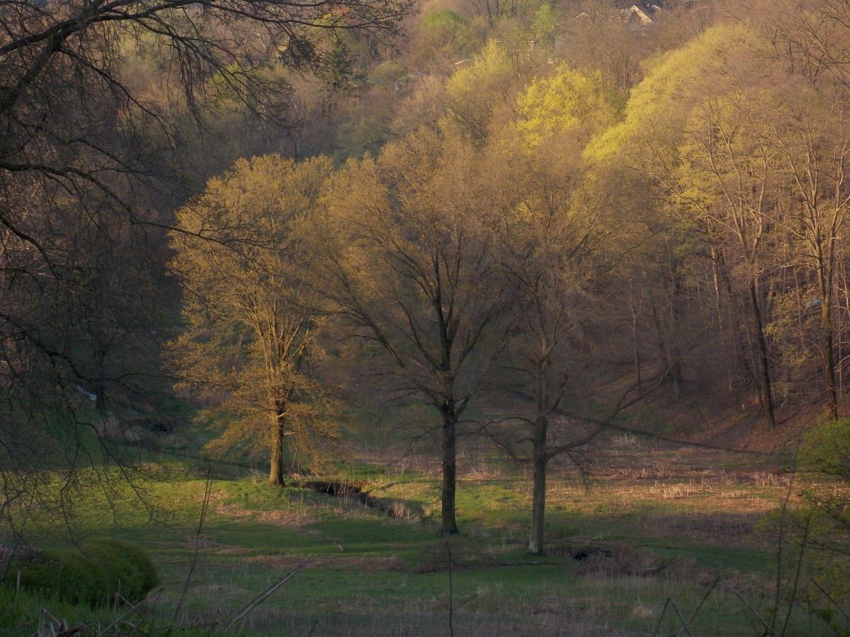 Marching in Lock-Step with Science | the dying fish